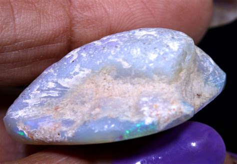 58 Cts Clam Shell Opalised Fossil Fo 1682 Fossil Opals