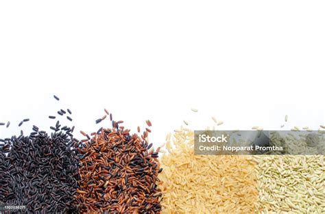 탄수화물 이나 건강 한 식품 성분 또는 농산물 개념에 대 한 텍스트를 추가 하기 위한 복사 공간 흰색 배경에 건조 유기 쌀 씨앗의 4 종류 가득 찬에 대한 스톡 사진 및