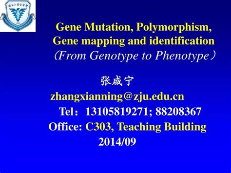 Ppt Gene Mutation Polymorphism Gene Mapping And Identification （ From Genotype To Phenotype