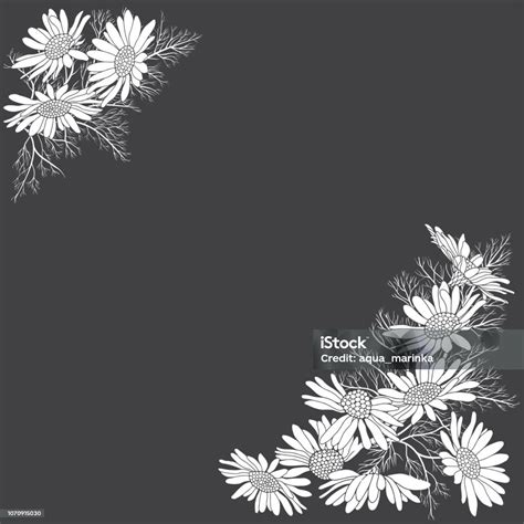 데이지 꽃으로 검은 배경에 텍스트 위한 장소 꽃 흑백 프레임입니다 인사말 카드 초대장 또는 디자인에 대 한 격리 된 요소 코너 구성입니다 0명에 대한 스톡 벡터 아트 및