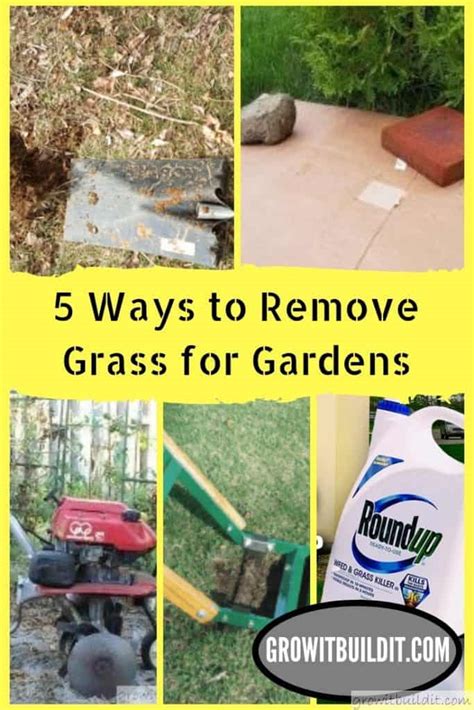 5 Ways To Remove Grass GrowIt BuildIT