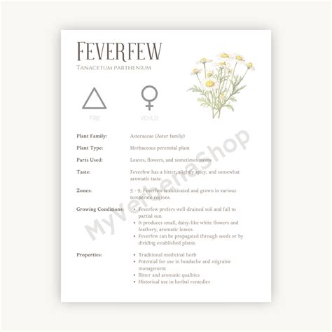 Feverfew Herbal Printable Detailed Plant Guide And Uses Spiritual