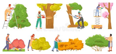 Pruning Tree Branch Stock Illustrations 808 Pruning Tree Branch Stock