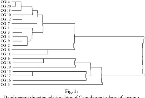 Table 1 From Morphological And Molecular Diversity Of Ganoderma Spp Causal Agent Of Basal Stem