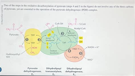 Solved Two Of The Steps In The Oxidative Decarboxylation Of