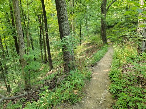 Hiking Trails Brown County State Park Indiana