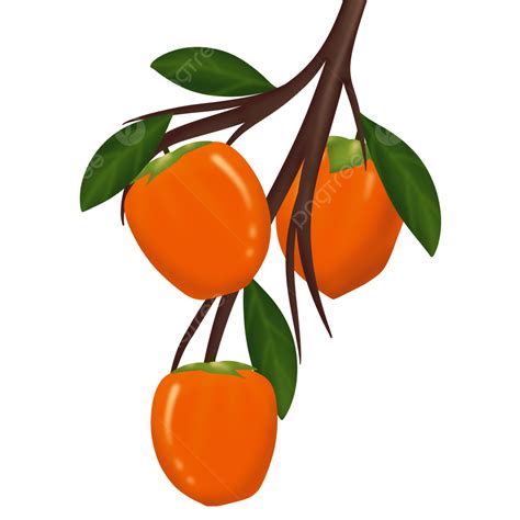 Tree Braches Nature PNG Vector PSD And Clipart With Transparent Background For Free Download