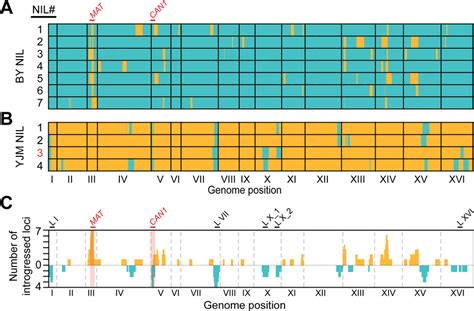 Introgressed Genomic Regions Detected In The Nils A Loci From Yjm Download Scientific