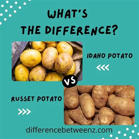 Difference Between Idaho And Russet Potatoes Difference Betweenz