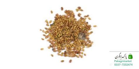 Alfalfa Seeds King Seeds Pakistan Seed