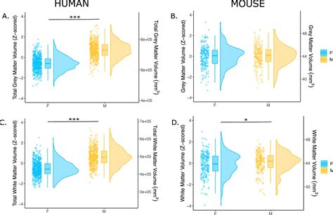 Figures And Data In Comparative Neuroimaging Of Sex Differences In Human And Mouse Brain Anatomy
