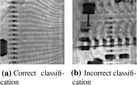 example classification results download scientific diagram
