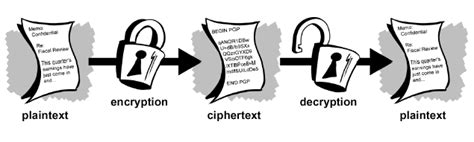 Encryption And Decryption Download Scientific Diagram