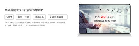 用友yonsuite，用友ys，用友yonsuite，yonsuite，用友云，用友云服务，用友云平台，用友bip丨yonsuite，用友云南