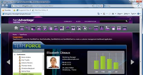 Netadvantage Net Adds Office 2010 Style