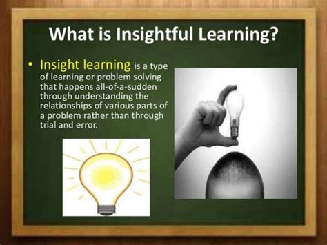 Kohler Insightful Learning Theory Pptx Zoos And Aquariums Attractions Kohler Insightful Learning Theory Pptx Zoos And Aquariums Attractions