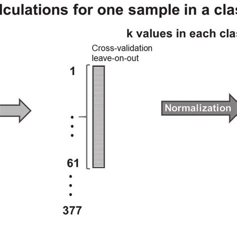 diagrammatic representation of the sum fusion classification