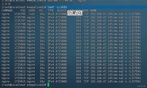 ky10 server keepalived 配置多个虚拟机ip，nginx配置，业务数据测试过程说明 keepalived 本机配置多个ip csdn博客