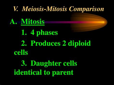 PPT Meiosis The Formation Of Sex Cells PowerPoint Presentation Free Download ID