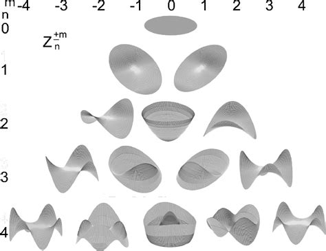 Figure 21 From Structural Classification Of Glaucomatous Optic