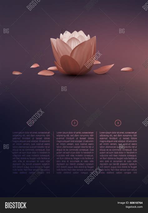 Vector Lotus Flower Vector And Photo Free Trial Bigstock