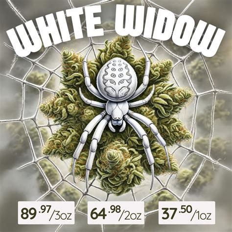 White Widow Promo The Chrono