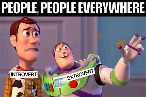 50 Hilarious Introvert Memes Youll Laugh At Silently