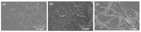 Preparation Of Self Assembled Chitin Nanofiber Natural Rubber Composite