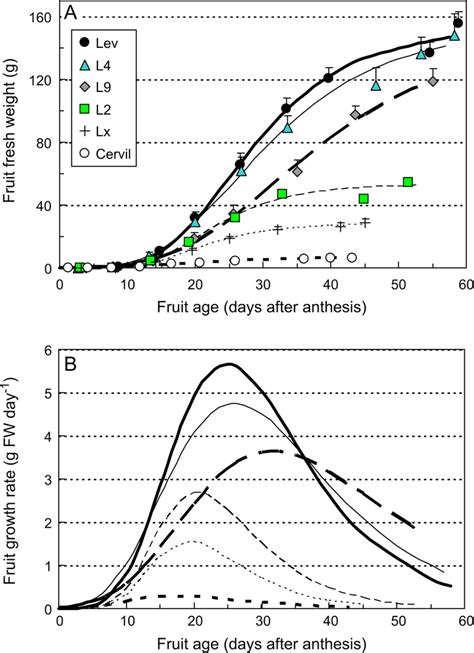 A Fruit Fresh Weight Increase During Fruit Ageing Curves Were Fitted Download Scientific