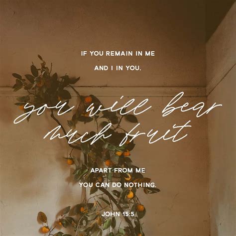 John 155 6 Niv “i Am The Vine You Are The Branche Youversion