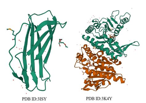 Three Dimensional Structure Of Isopentenyl Pyrophosphate Isomerase Download Scientific Diagram