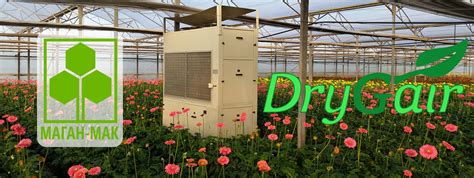 Em 𝗗𝗥𝗔𝗠𝗠𝗔𝗧𝗜𝗖 𝗢 E природен и еколошки производ богат со микро и макро хранливи материи