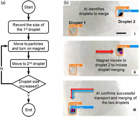 droplet merging with ai‐empowered image‐based feedback for real‐time