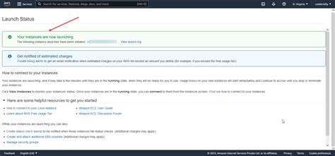 How To Setup An EC Instance On AWS Codebriefly