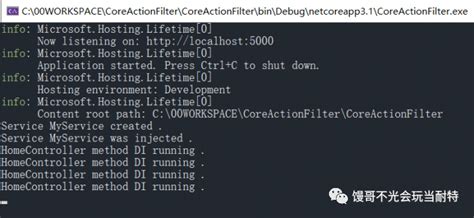 asp core 在actionfilter中使用依赖注入 public