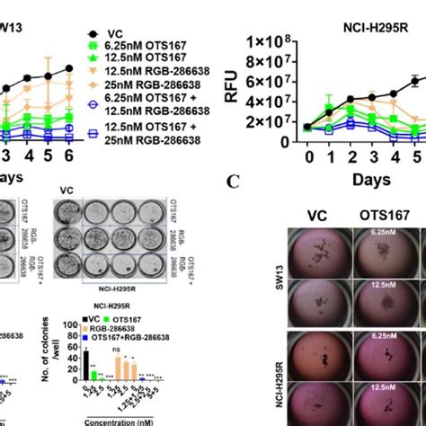 Drug Combinations Significantly Reduce Both Monolayer And Multilayer Download Scientific