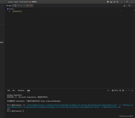 Vs Code运行 Lua 出现控制台无法输出问题vscode输出栏无法输出 Csdn博客
