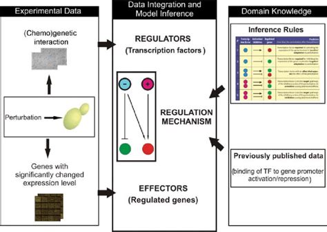 Schematic Representation Of The Method S Input And Output Data As Download Scientific Diagram