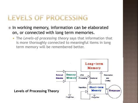 PPT - Unraveling Memory: Encoding, Storage, and Retrieval Explained PowerPoint Presentation - ID ...