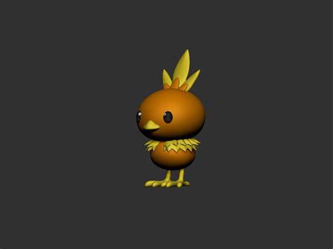 Torchic Pokemon Evolution
