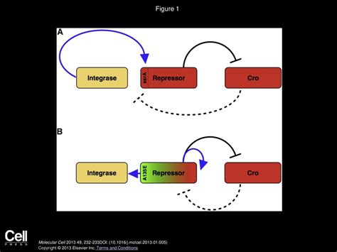 Switches Switches Every Where In Any Drop We Drink Ppt Download
