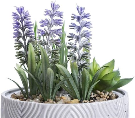 China Best Scent Diffuser Manufacturers Suppliers Factory Wholesale