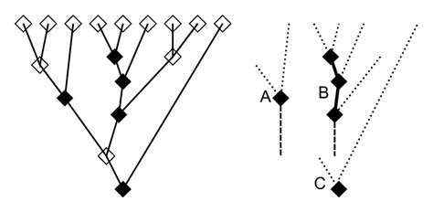 Example Of Connected Components Download Scientific Diagram