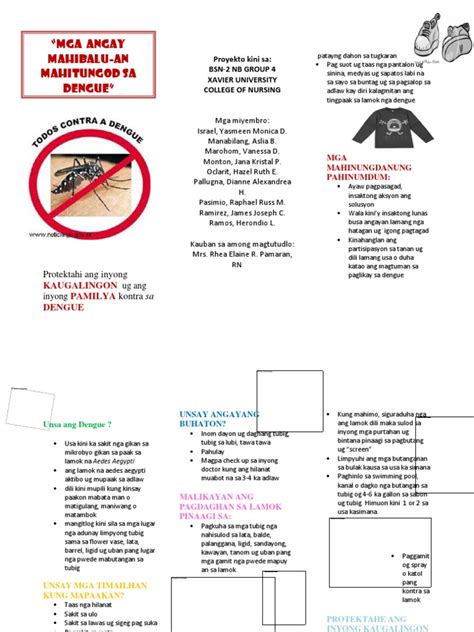 Dengue Pamphlet Pdf