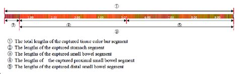 The Tissue Color Bar Legend Download Scientific Diagram