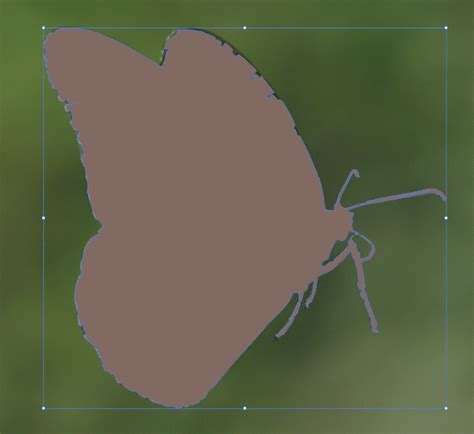 2 Easy Ways To Remove Background In Adobe Illustrator