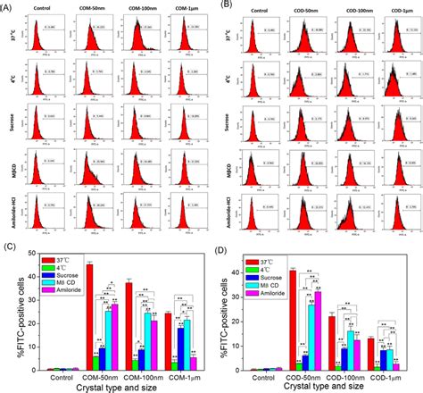 Flow Cytometry Quantitative Analysis Of Internalized Nano Micron Sized Download Scientific