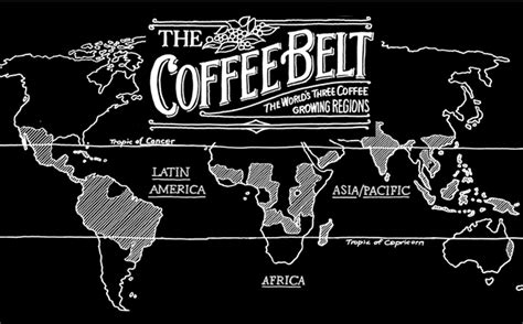 Coffee Belt Coffee Growing Regions Are Concentrated In Tropical Areas