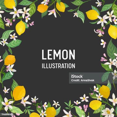 식물 결혼식 초대장 빈티지 날짜를 저장 레몬의 템플릿 프레임 디자인 과일 꽃과 잎 꽃 그림 벡터 유행 커버 그래픽 포스터 브로셔 0명에 대한 스톡 벡터 아트 및 기타 이미지