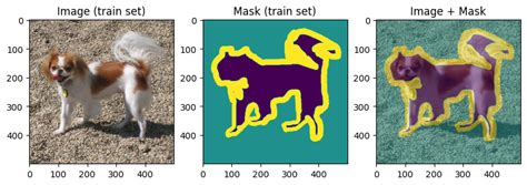 Image Segmentation With Unetr Model — Jax Ai Stack